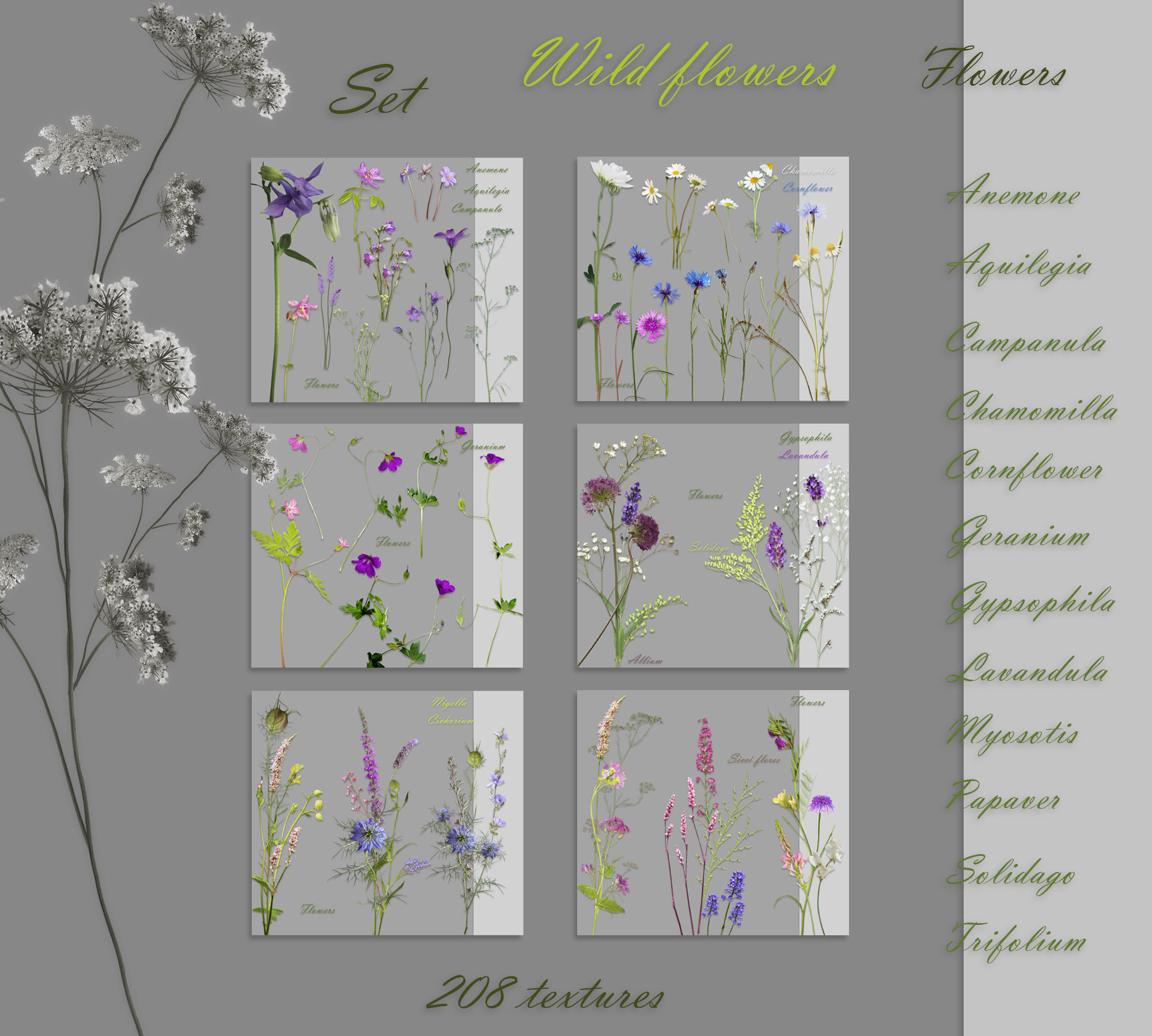 3D model A set of textures wild flowers VR / AR / low-poly | CGTrader