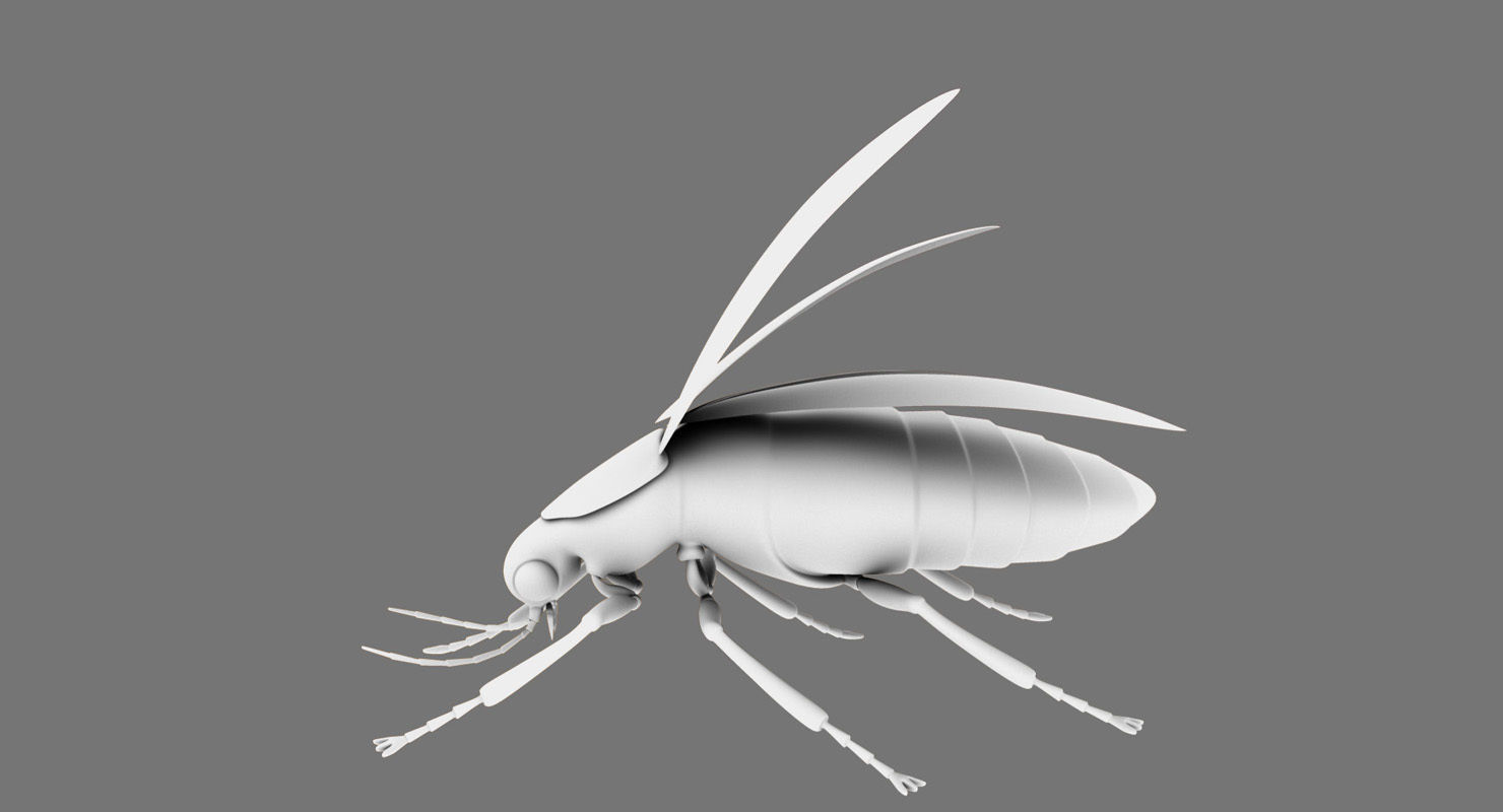 firefly 3d model fly 3D model | CGTrader