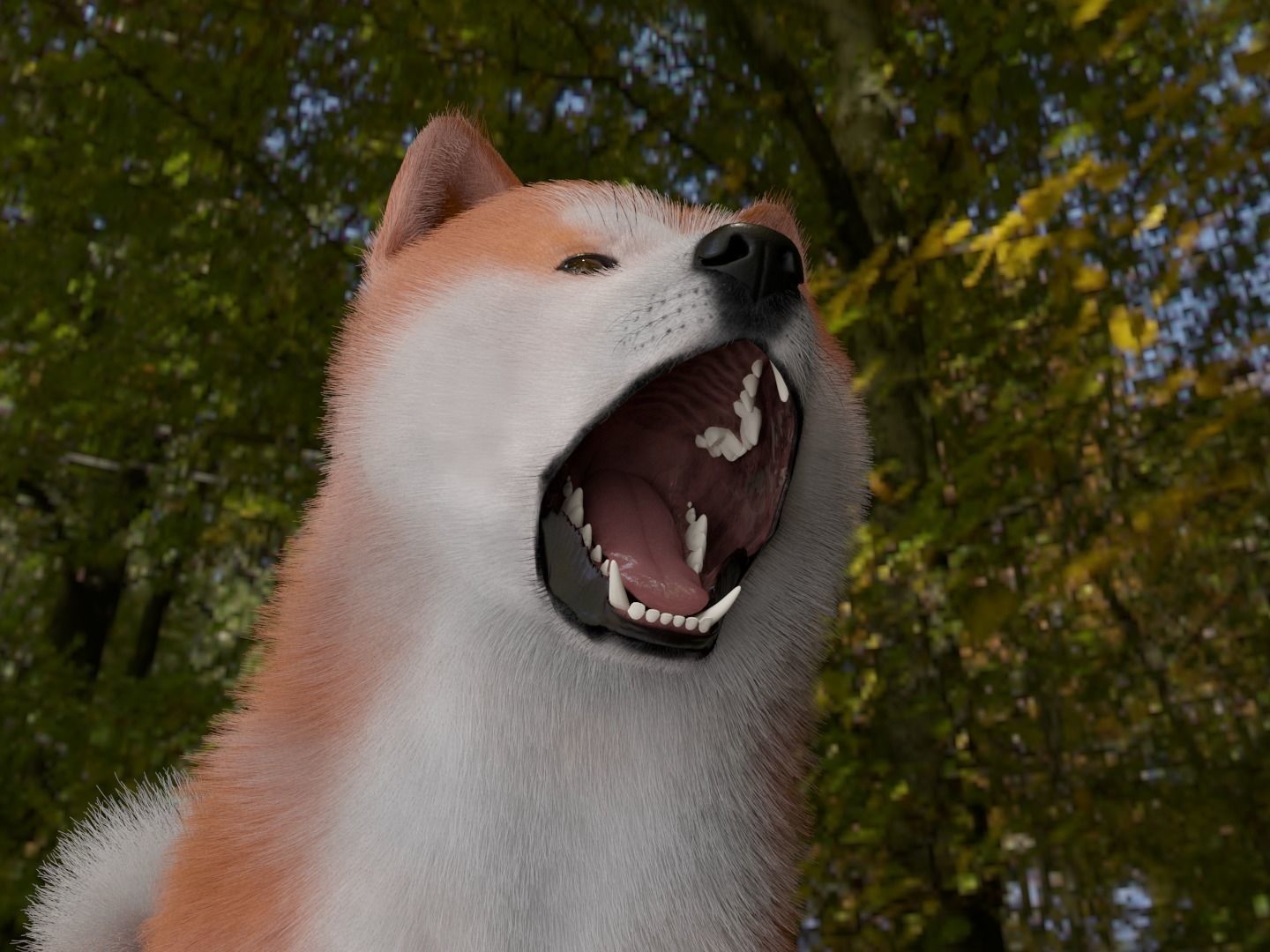 Realistic Akita Inu Hachiko 3D model animated rigged | CGTrader