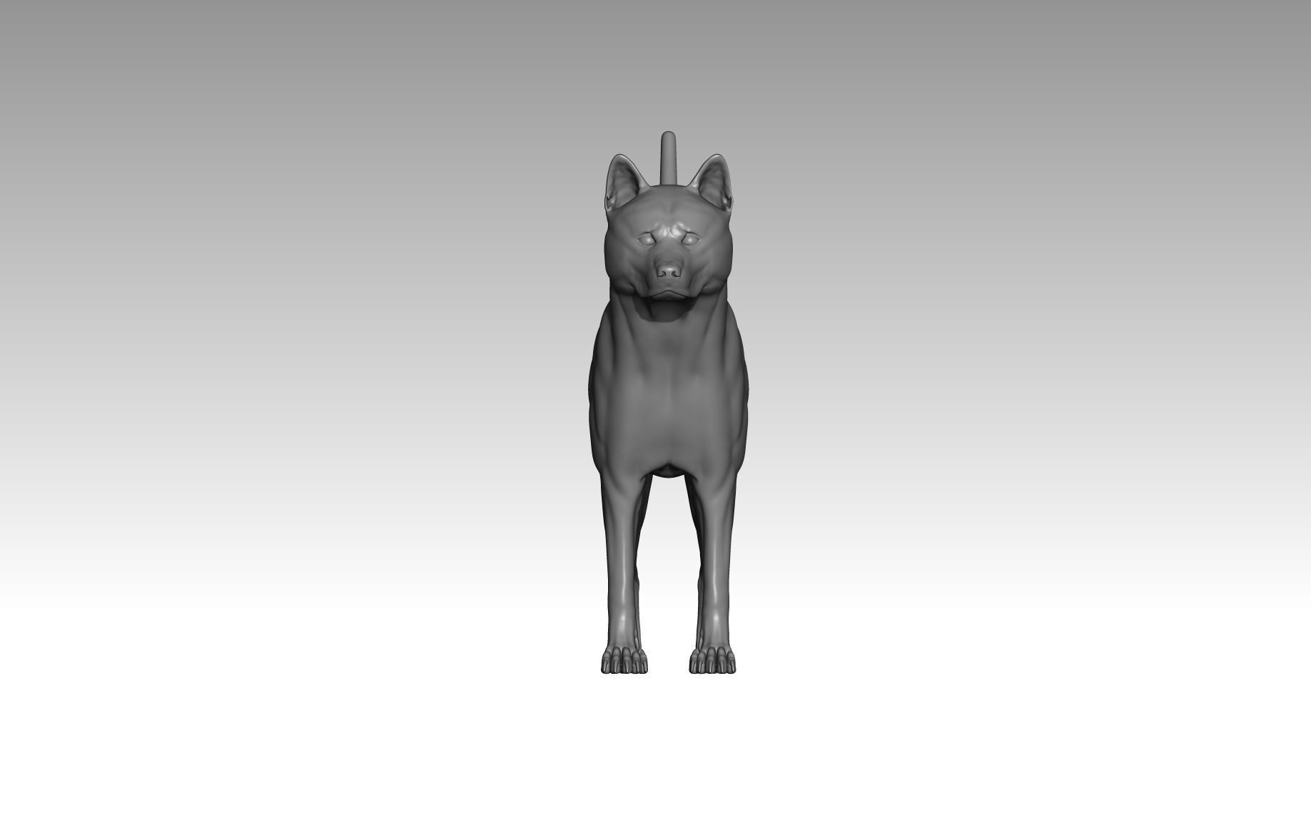Realistic Akita Inu Hachiko 3D model animated rigged | CGTrader