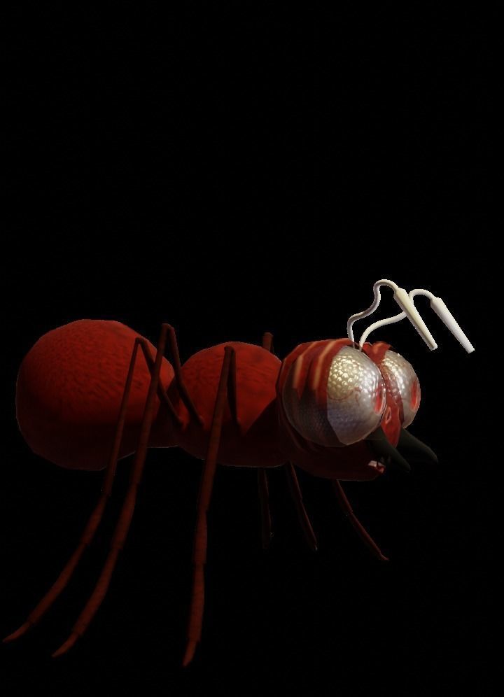 3D model ant-rigged ant VR / AR / low-poly rigged | CGTrader