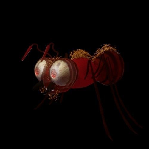 3D model ant-rigged ant VR / AR / low-poly rigged | CGTrader