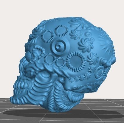 Human skeleton free 3D model 3D printable | CGTrader