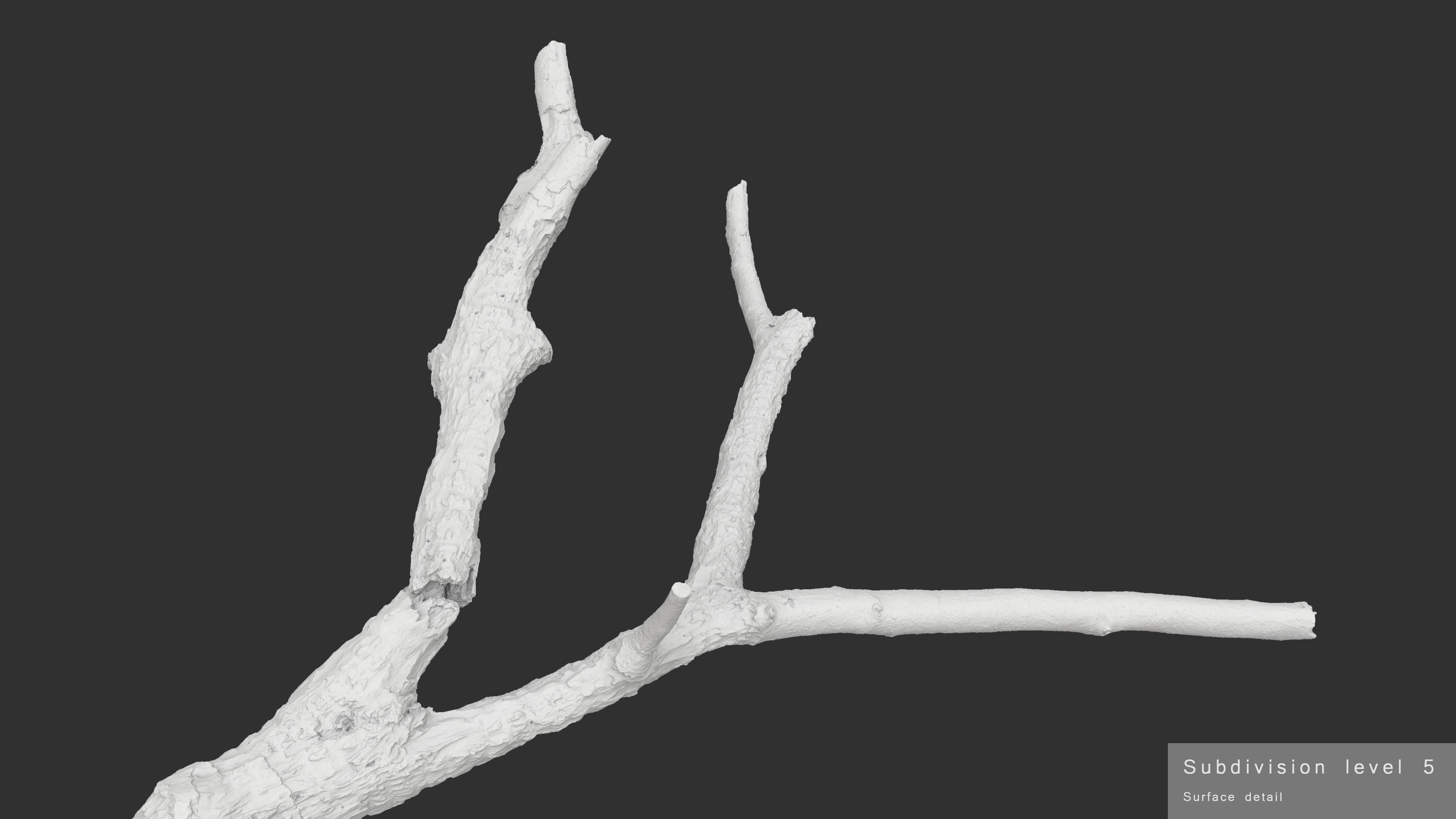 3D model Withered Broken Tree with Roots VR / AR / low-poly | CGTrader