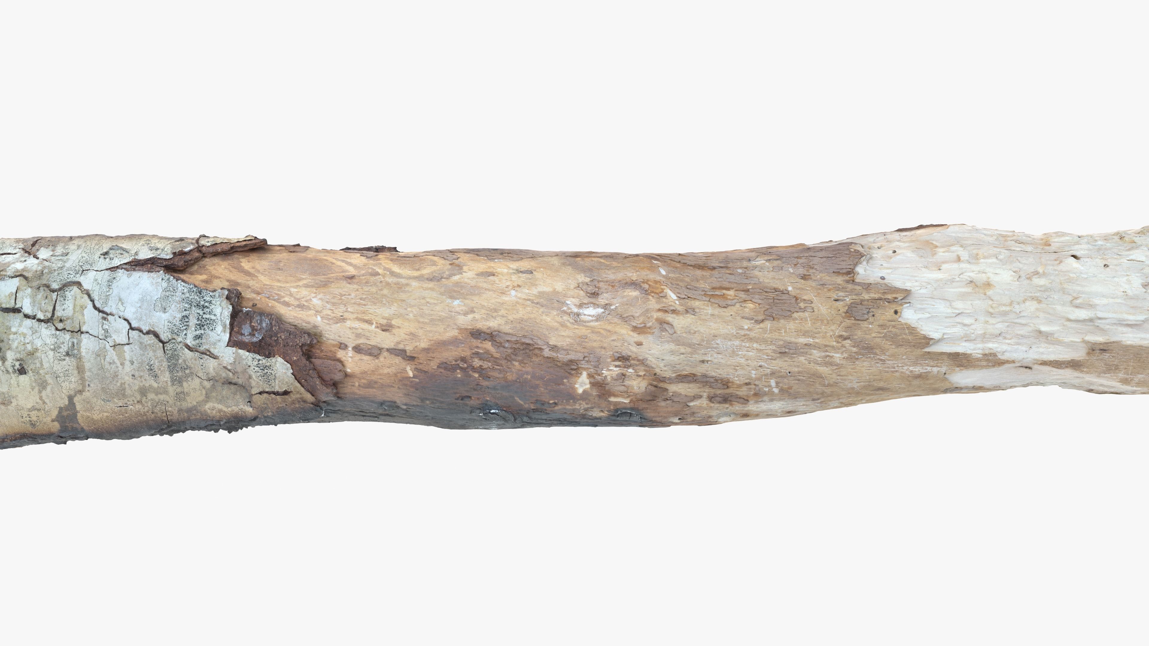3D model Withered Broken Tree with Roots VR / AR / low-poly | CGTrader