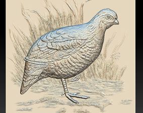 Quail 3D Print Models | CGTrader