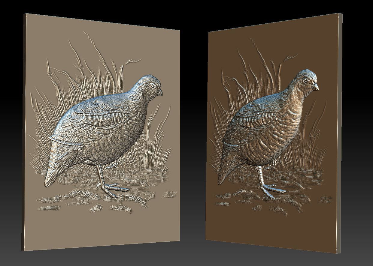 WHite Quail - relief - 2019 3D model 3D printable | CGTrader