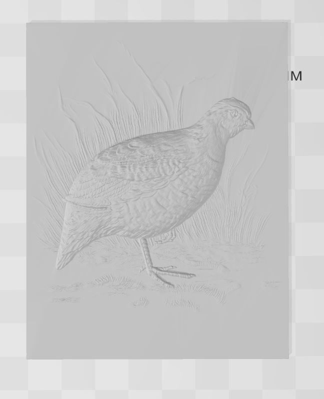WHite Quail - relief - 2019 3D model 3D printable | CGTrader