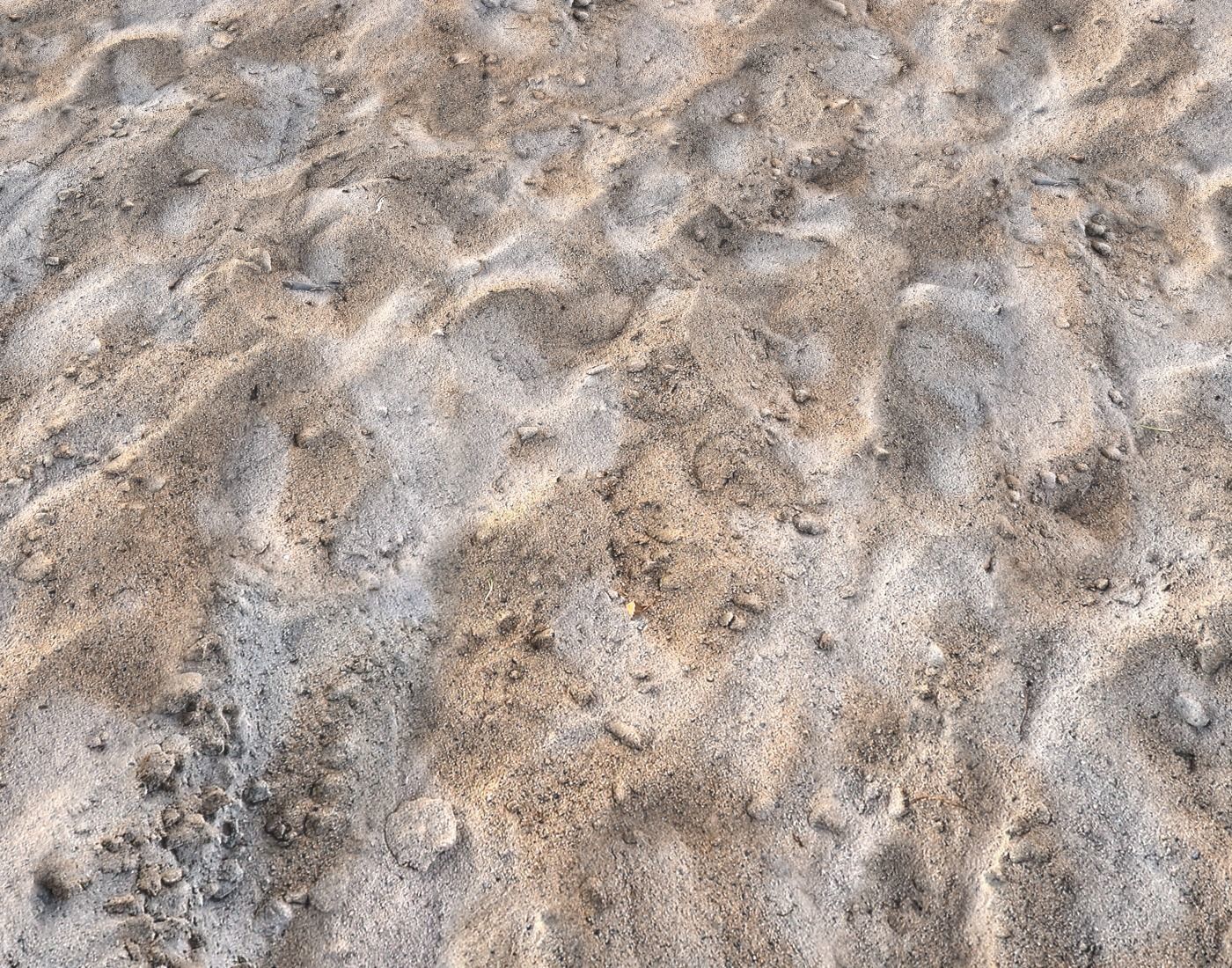 Ground terrain desert PBR pack 5 Texture | CGTrader