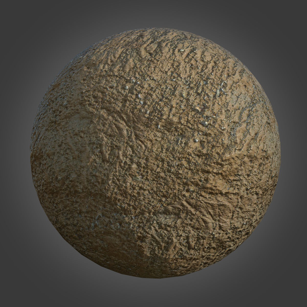 Set of 20 Various Sand PBR Textures Volume 1 Texture | CGTrader