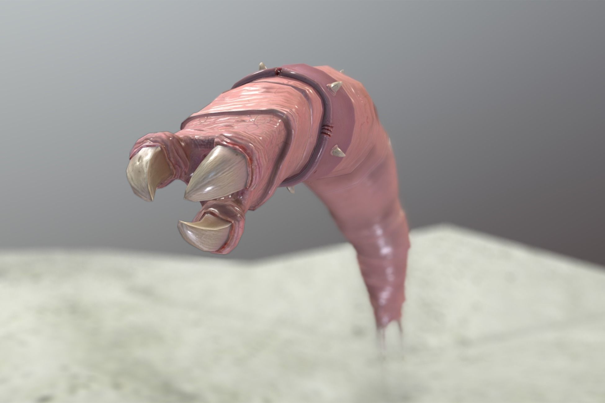 3D model The Earth Worm VR / AR / low-poly rigged animated | CGTrader