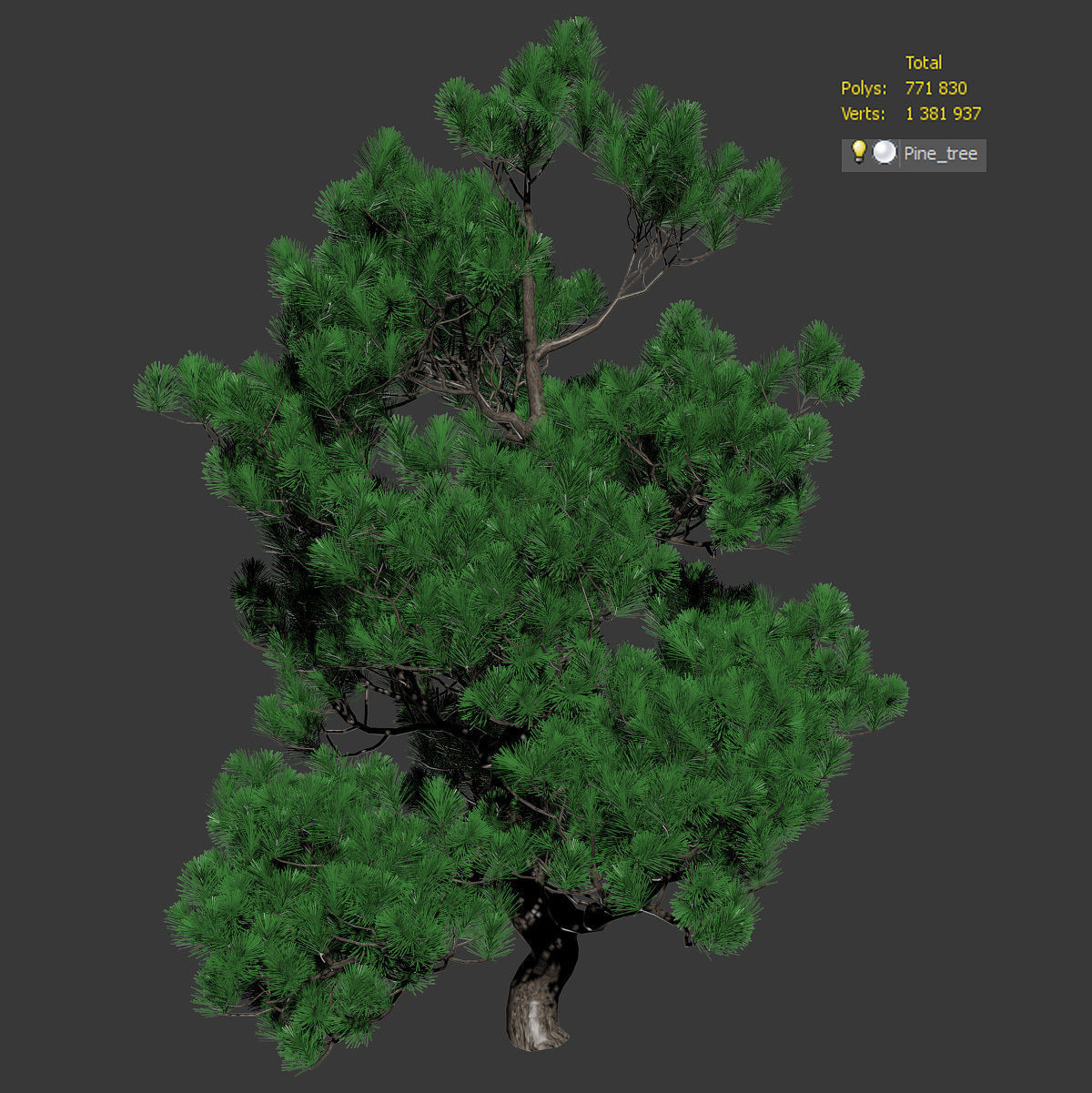 Decorative pine tree 3D model | CGTrader