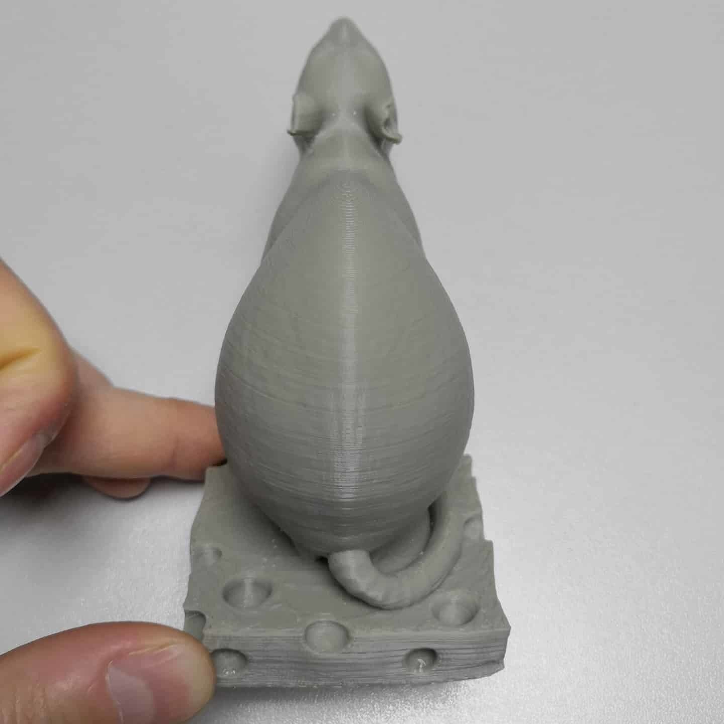 Rat on Cheese 3D model 3D printable | CGTrader