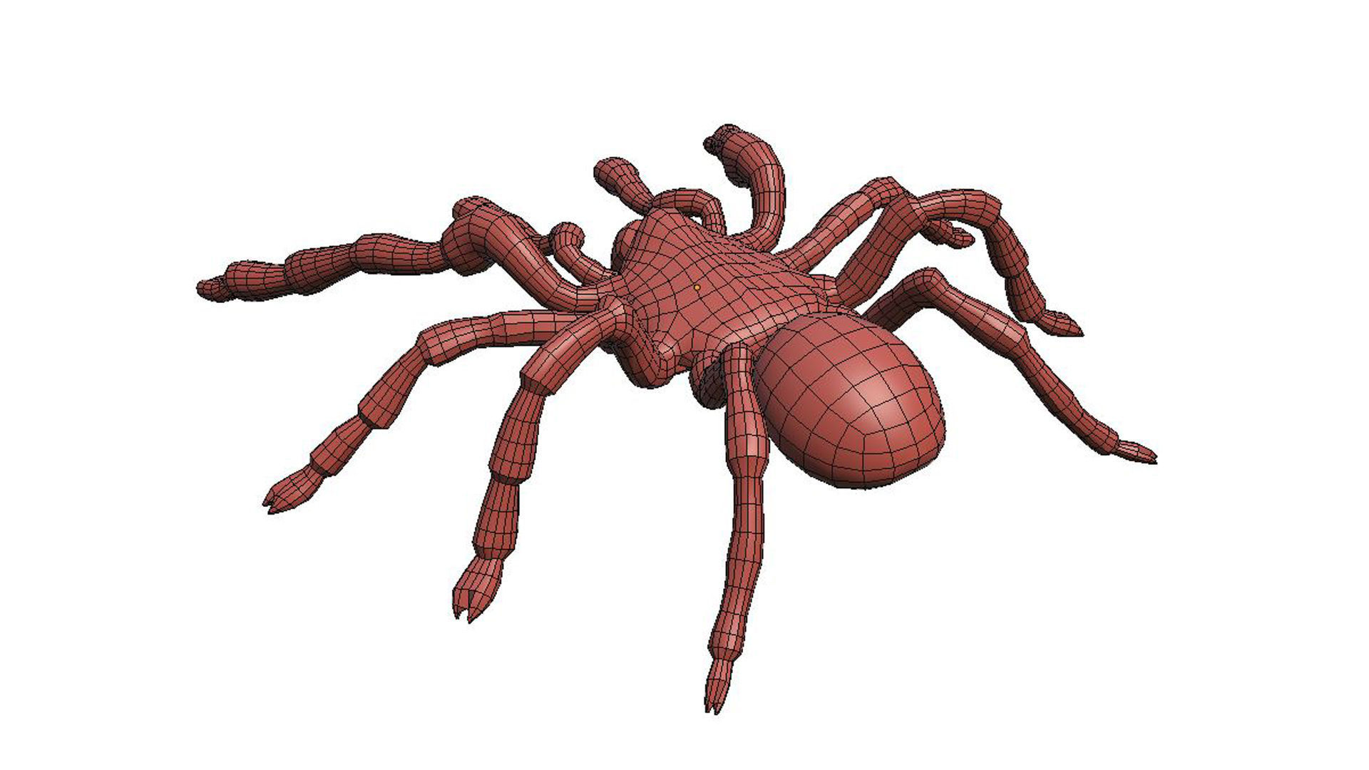 Tarantula low poly spider 3D model | CGTrader