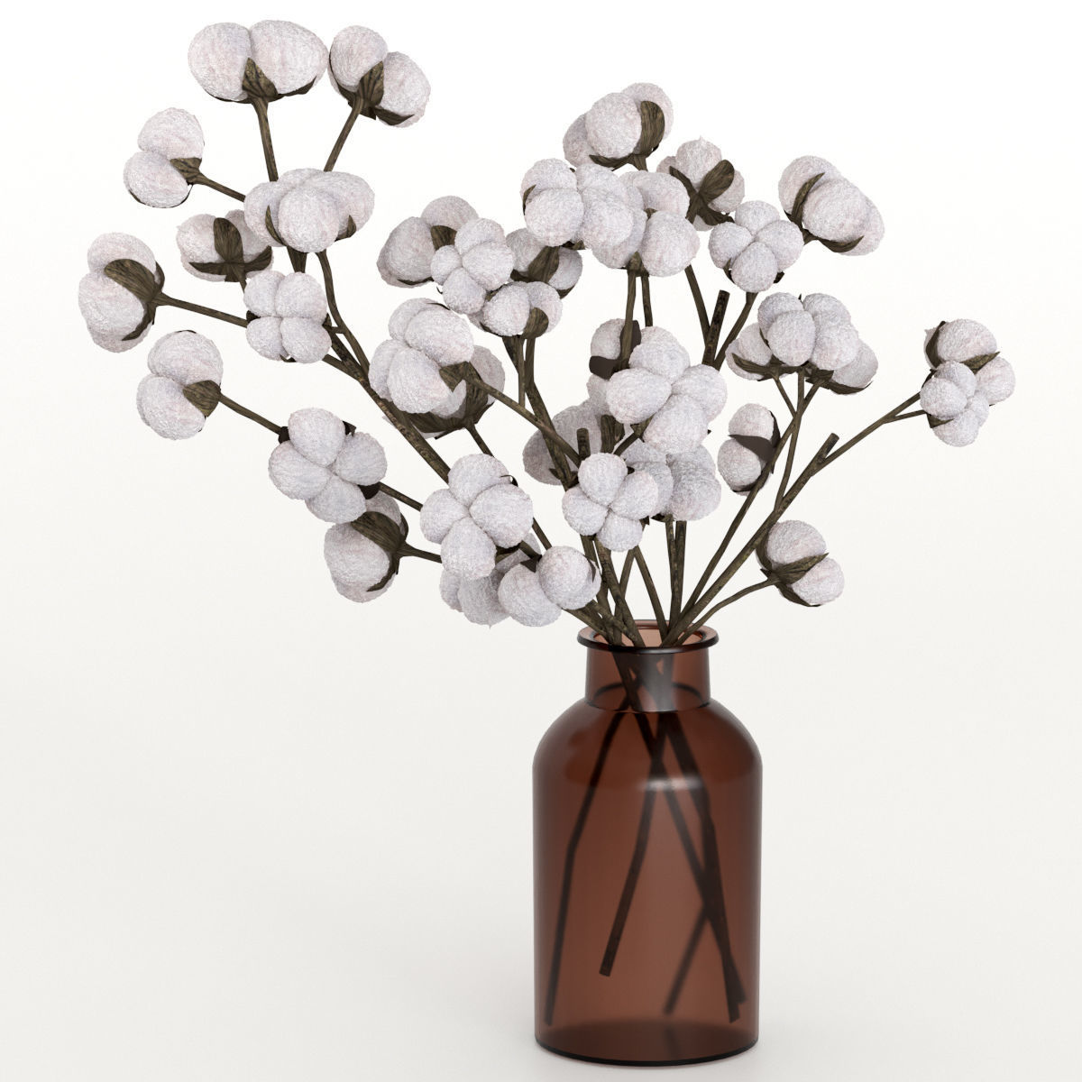 Dried cotton 3D model | CGTrader