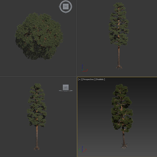 Pine Low Poly tree 3D model | CGTrader