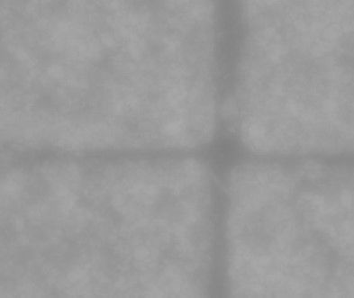 Park tile texture 03 Texture | CGTrader