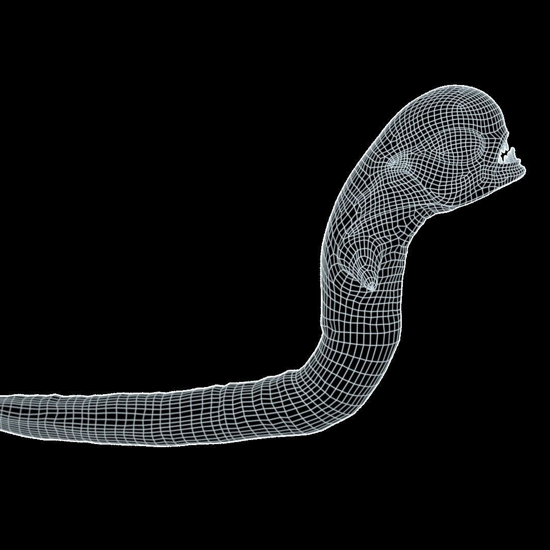 3D model Alien Chestburster PBR Rigged 3D Model VR / AR / low-poly ...