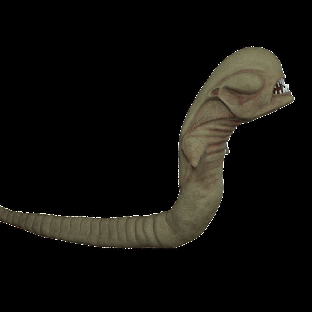 3D model Alien Chestburster PBR Rigged 3D Model VR / AR / low-poly ...