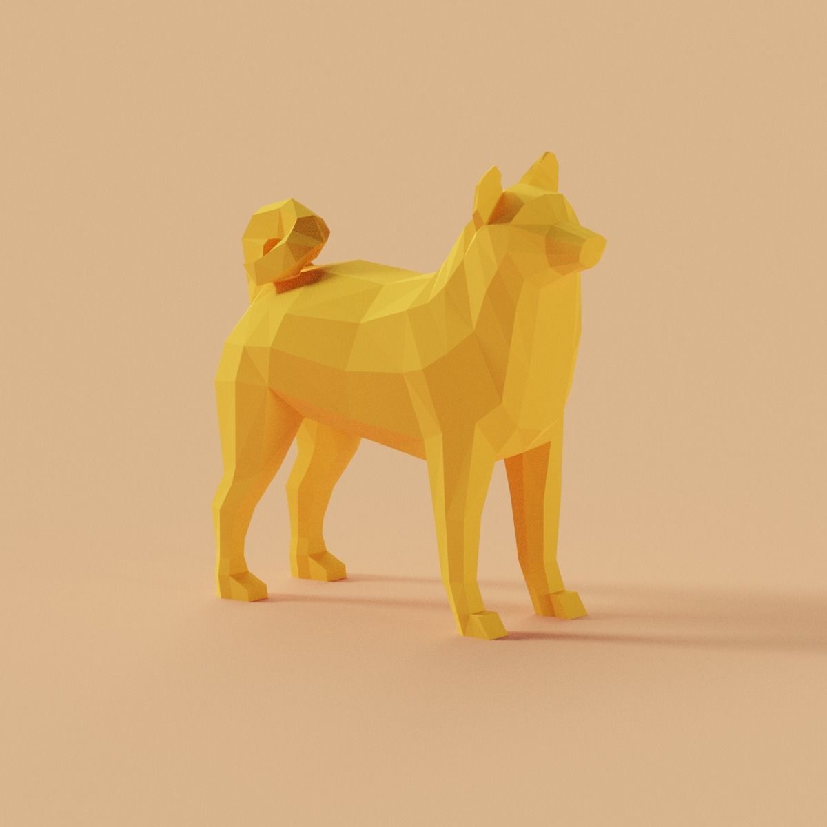 3D model Shiba Inu VR / AR / low-poly | CGTrader