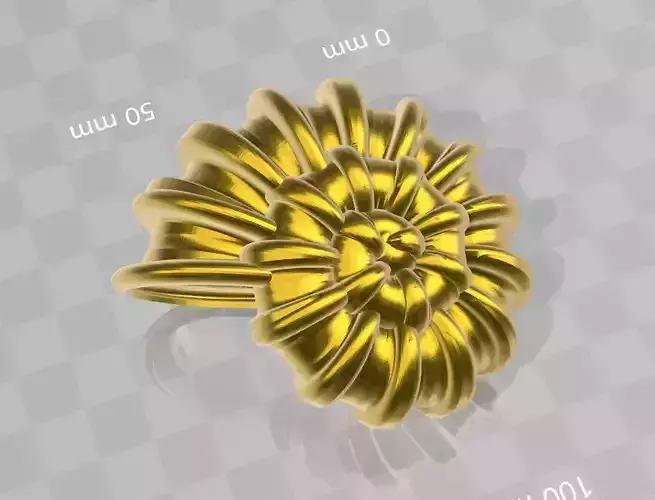 high detail nautilus shell 3D model | CGTrader