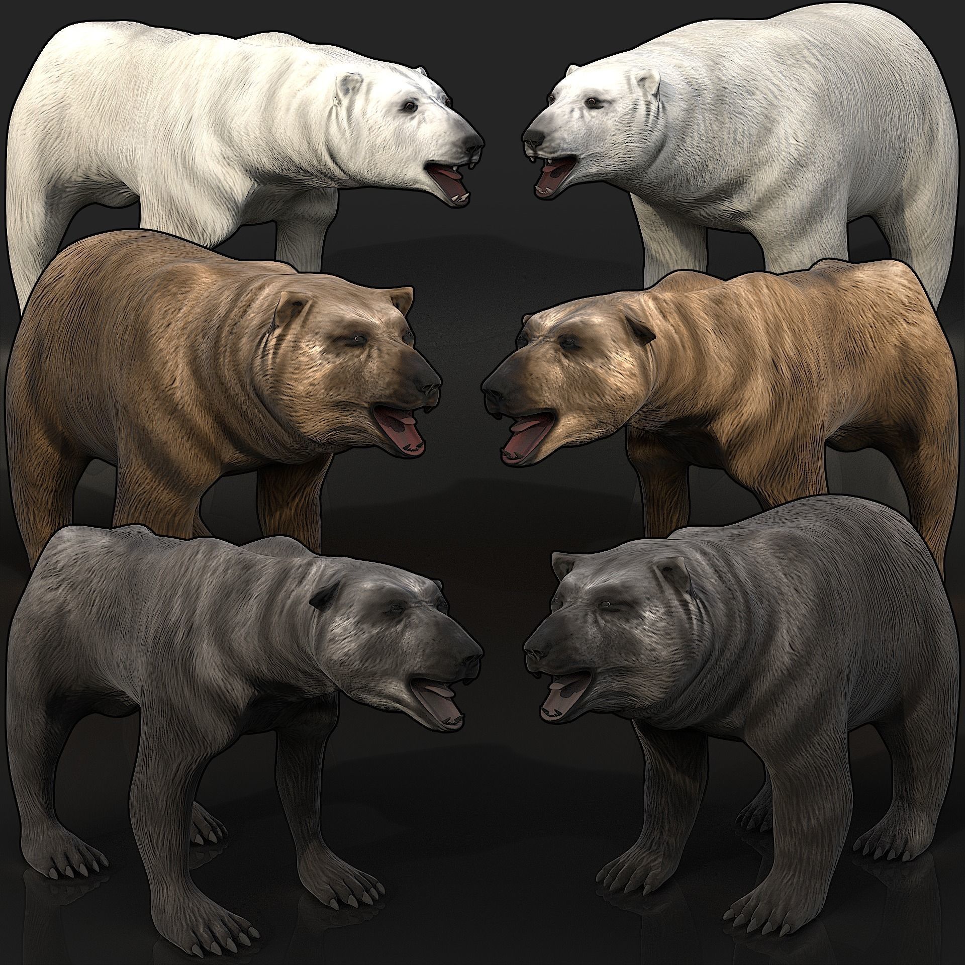 3D Model Collection Next Gen AAA Bear Megapack VR / AR / low-poly ...