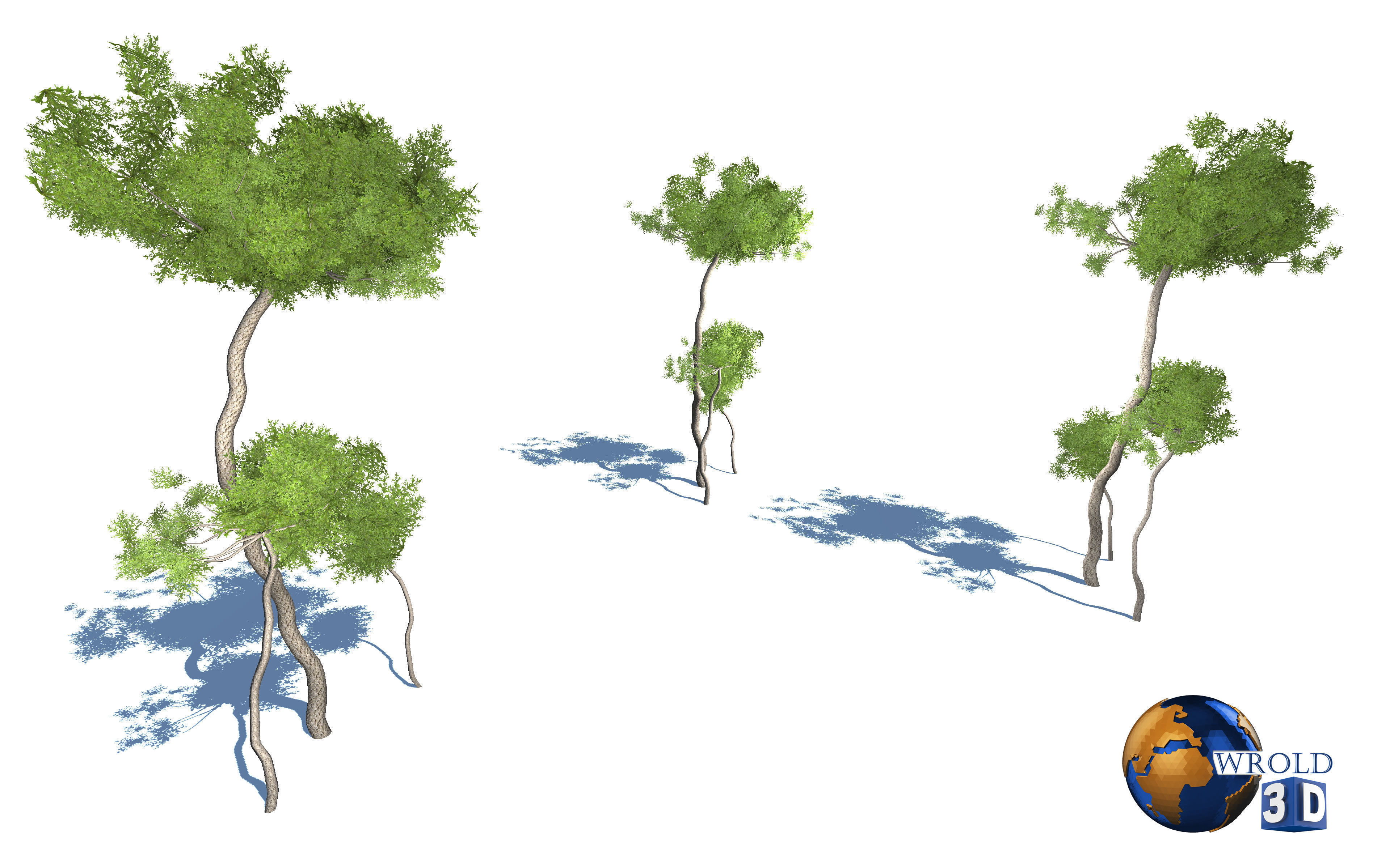 3D model Realistic Forest Tree 3D Model VR / AR / low-poly | CGTrader