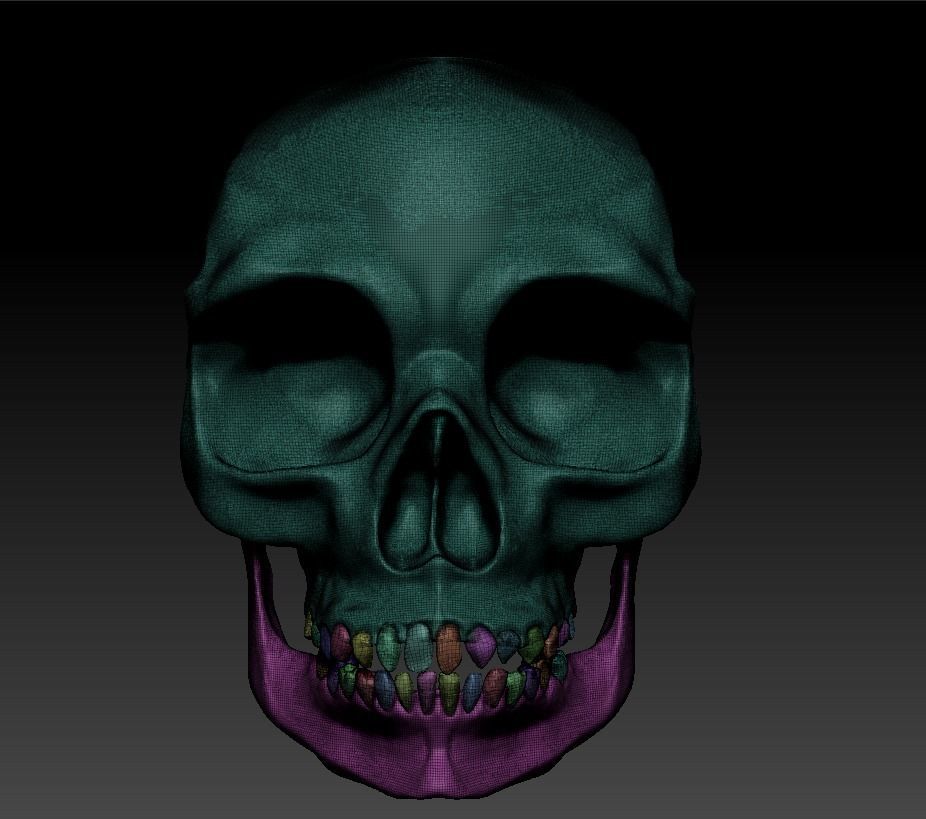 Skull skeleton High poly Zbrush project 3D model 3D model | CGTrader
