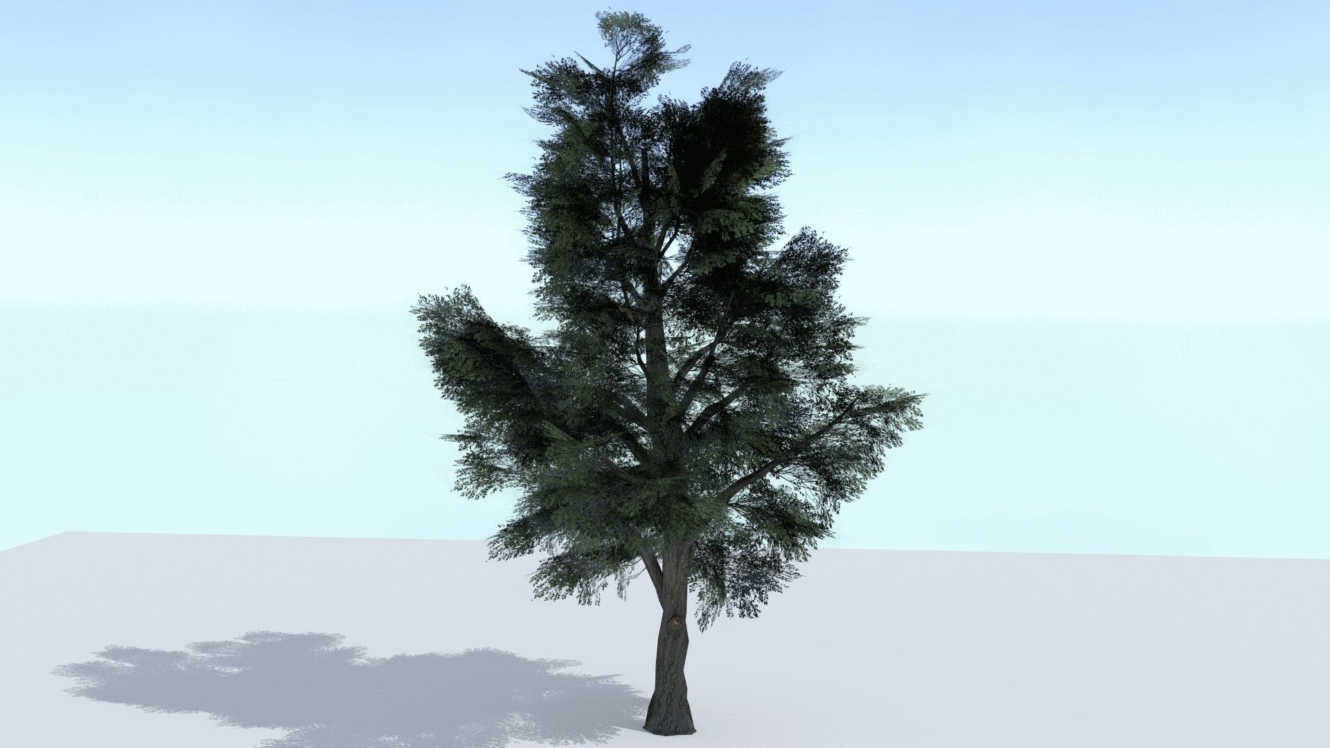 3D model Sycamore Tree VR / AR / low-poly | CGTrader