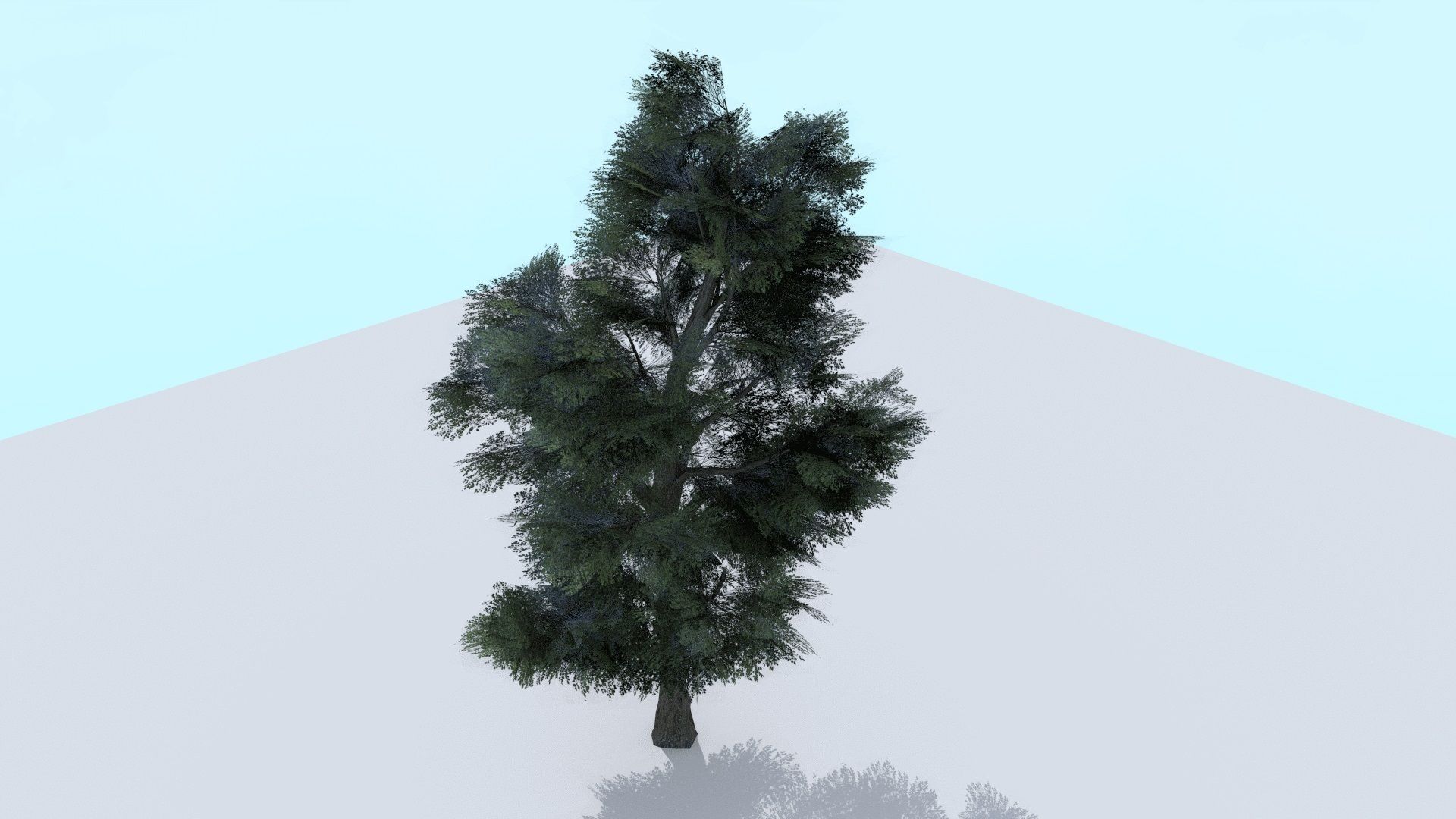 3D model Sycamore Tree VR / AR / low-poly | CGTrader