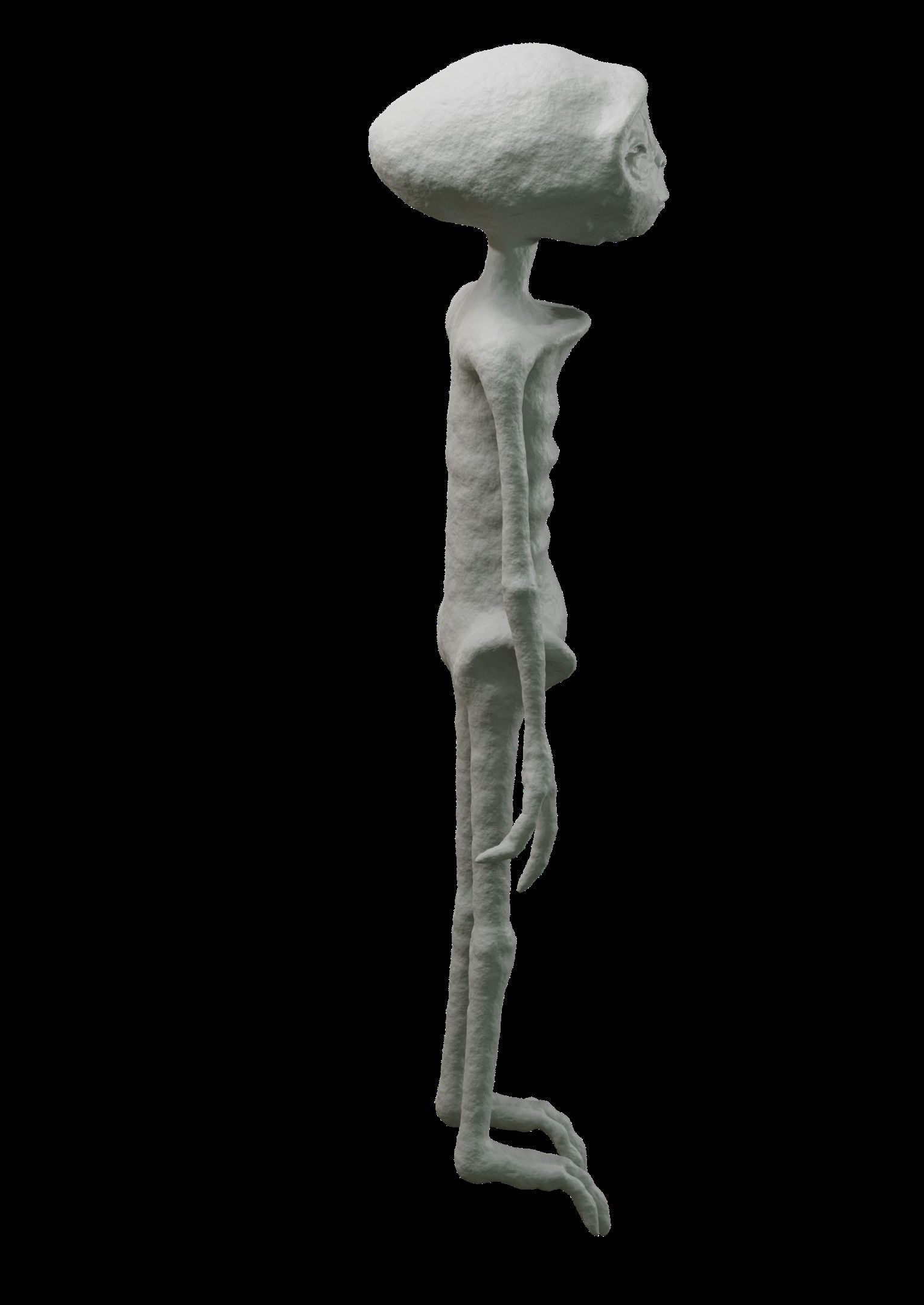 Alien Mummy from NAZCA - PERU - Ready for 3D Printing 3D model 3D ...