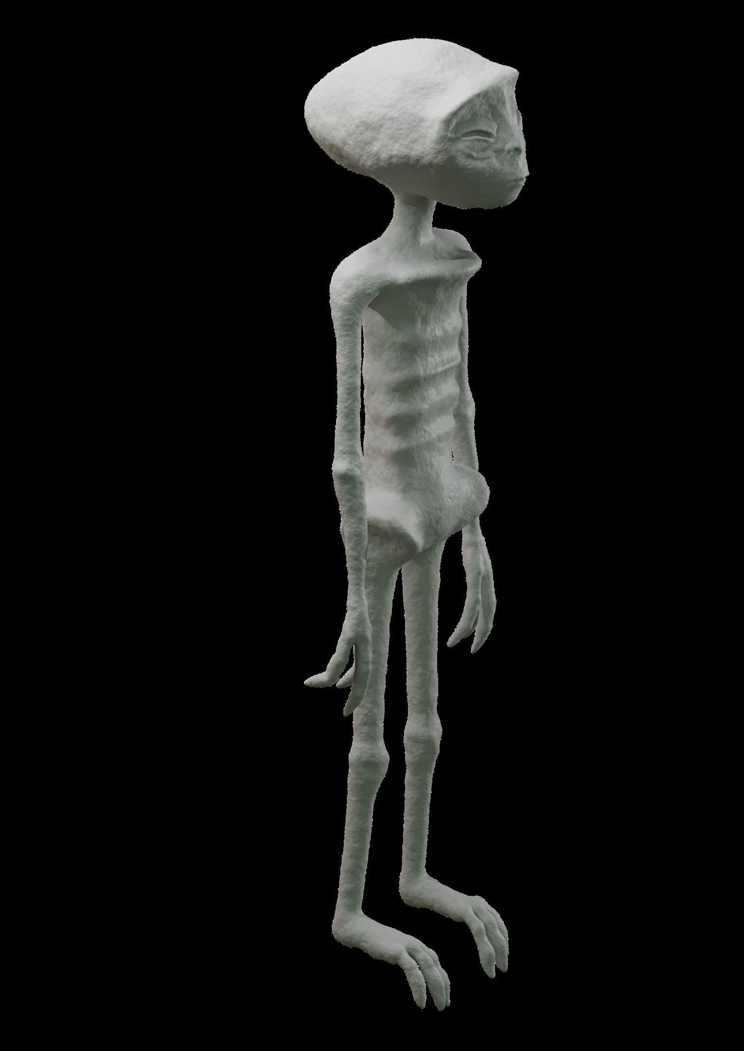 Alien Mummy from NAZCA - PERU - Ready for 3D Printing 3D model 3D ...