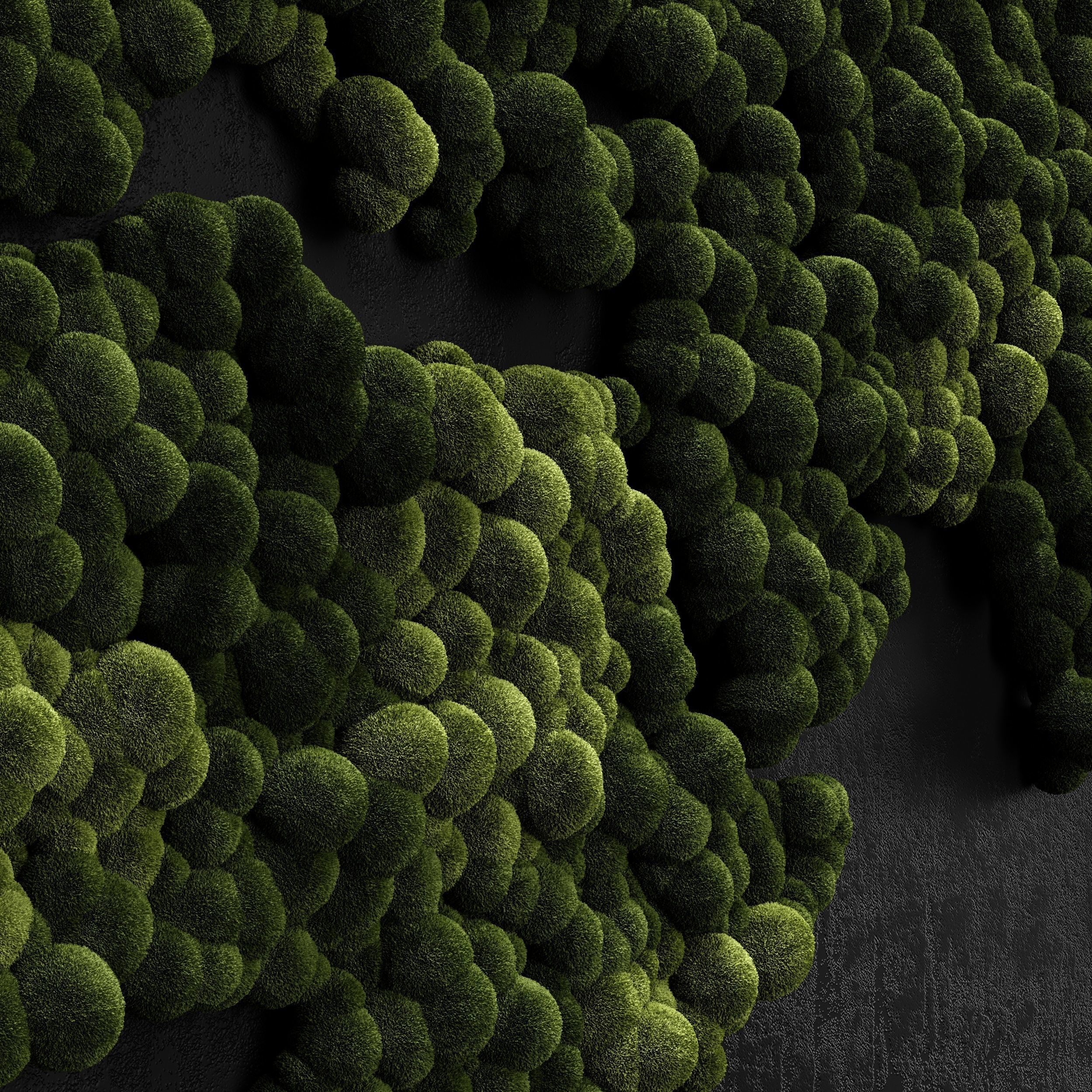 Stabilized moss - world map 3D model | CGTrader