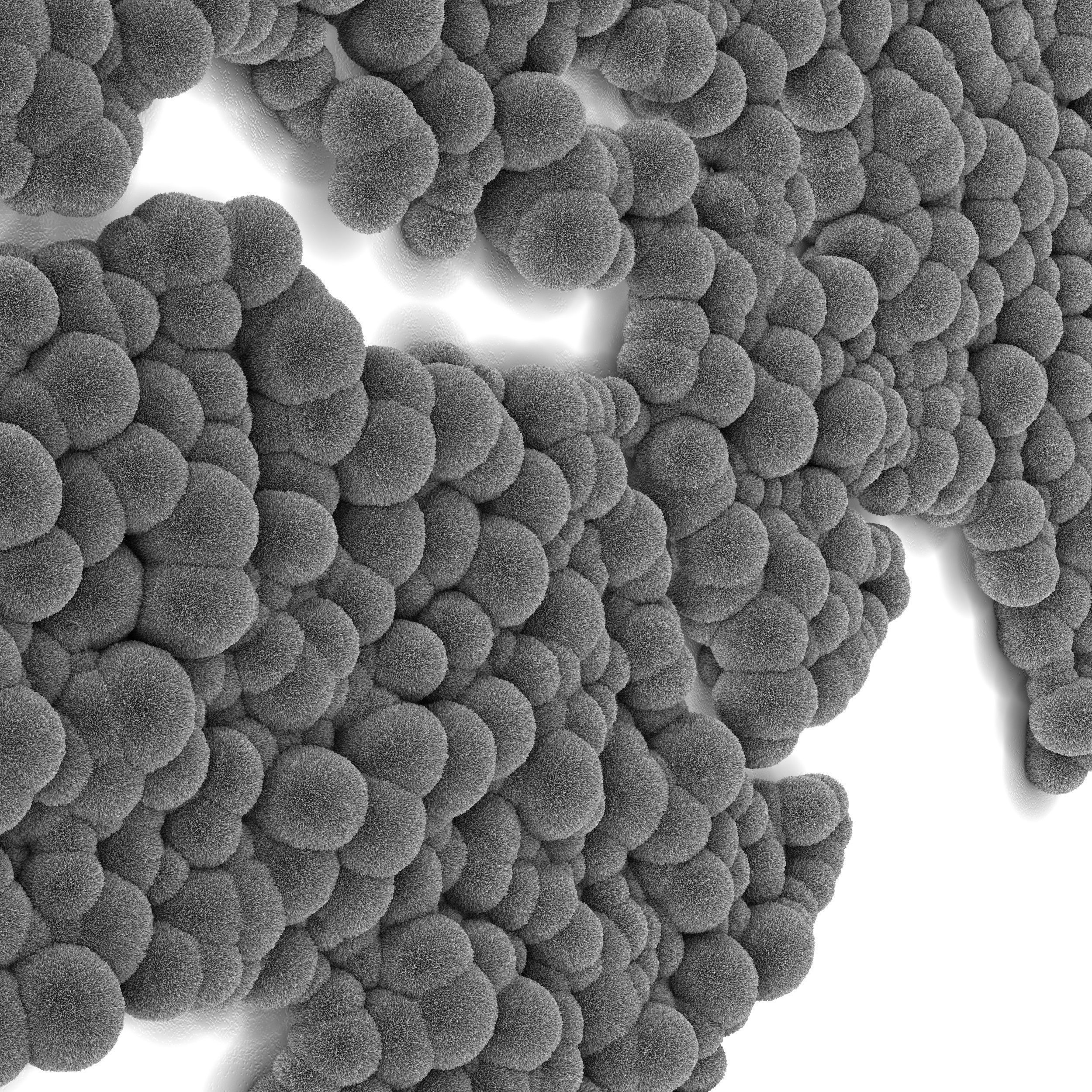 Stabilized moss - world map 3D model | CGTrader