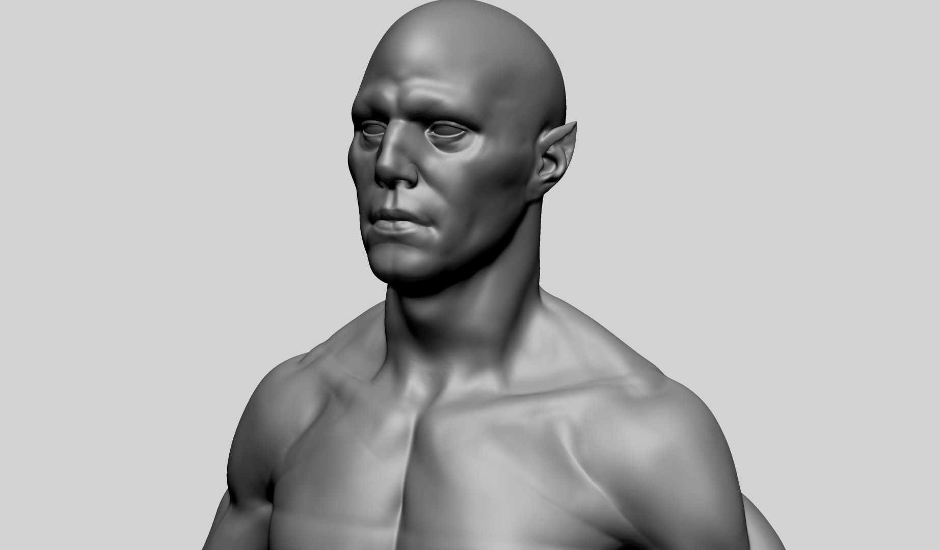 Human and Humanoid Anatomy - Male 3D model | CGTrader