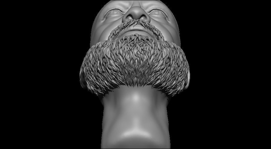 Beard 3D model | CGTrader