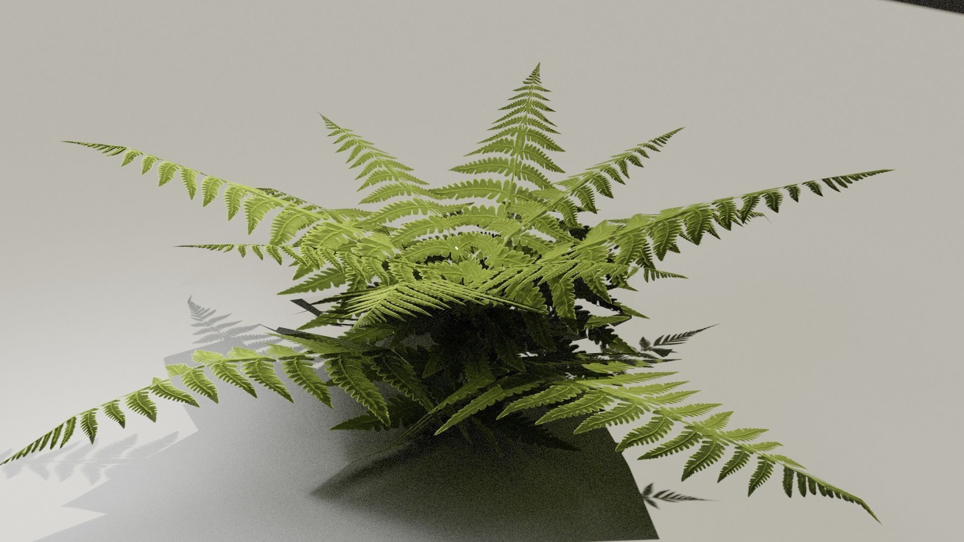 3D model Low Poly Hand Drawn Fern VR / AR / low-poly | CGTrader