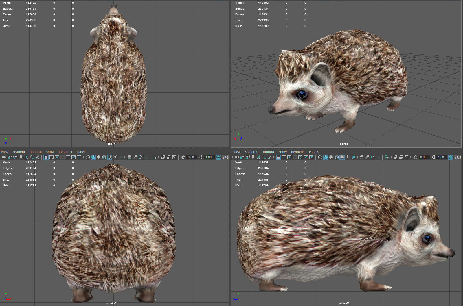3D model Hedgehog VR / AR / low-poly | CGTrader