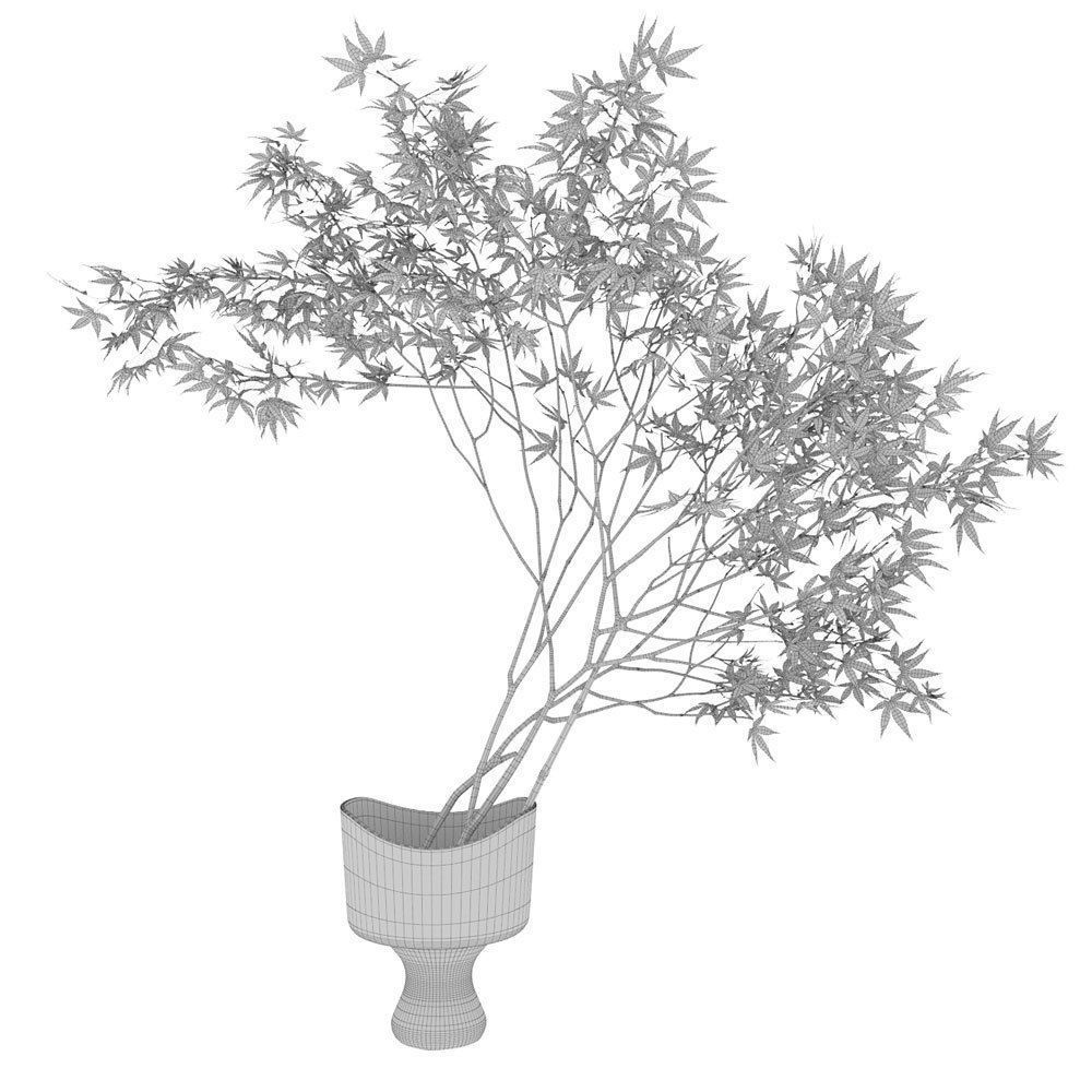 Decorative branch japanese maple 3D model | CGTrader