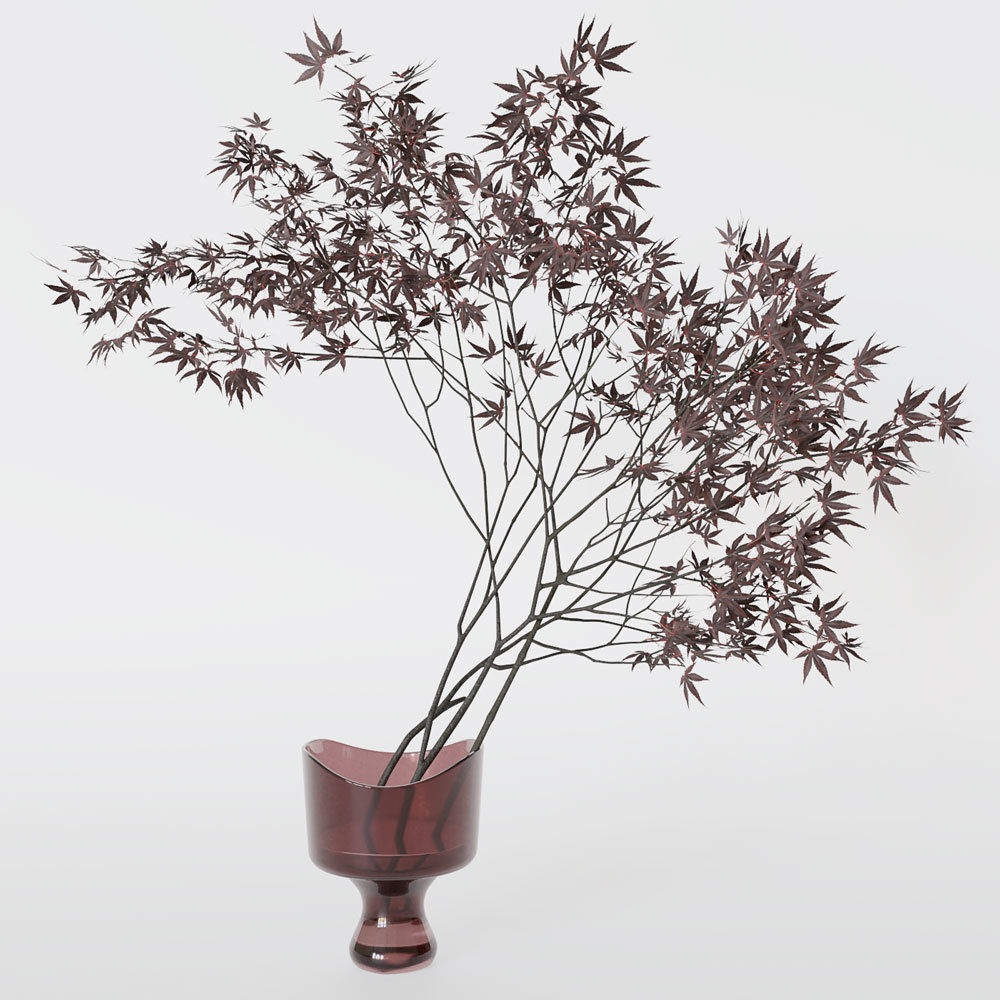 Decorative branch japanese maple 3D model | CGTrader