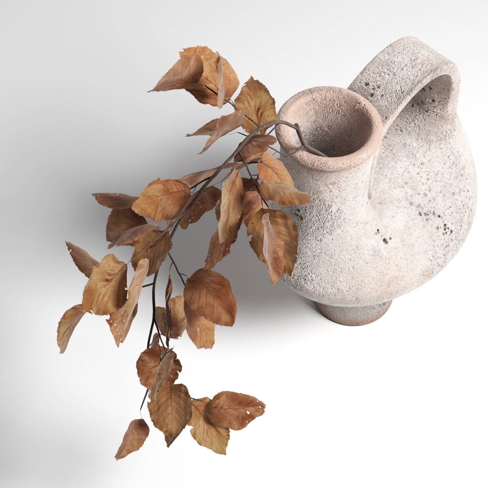 Pitcher with Dried Leaves 3D model | CGTrader