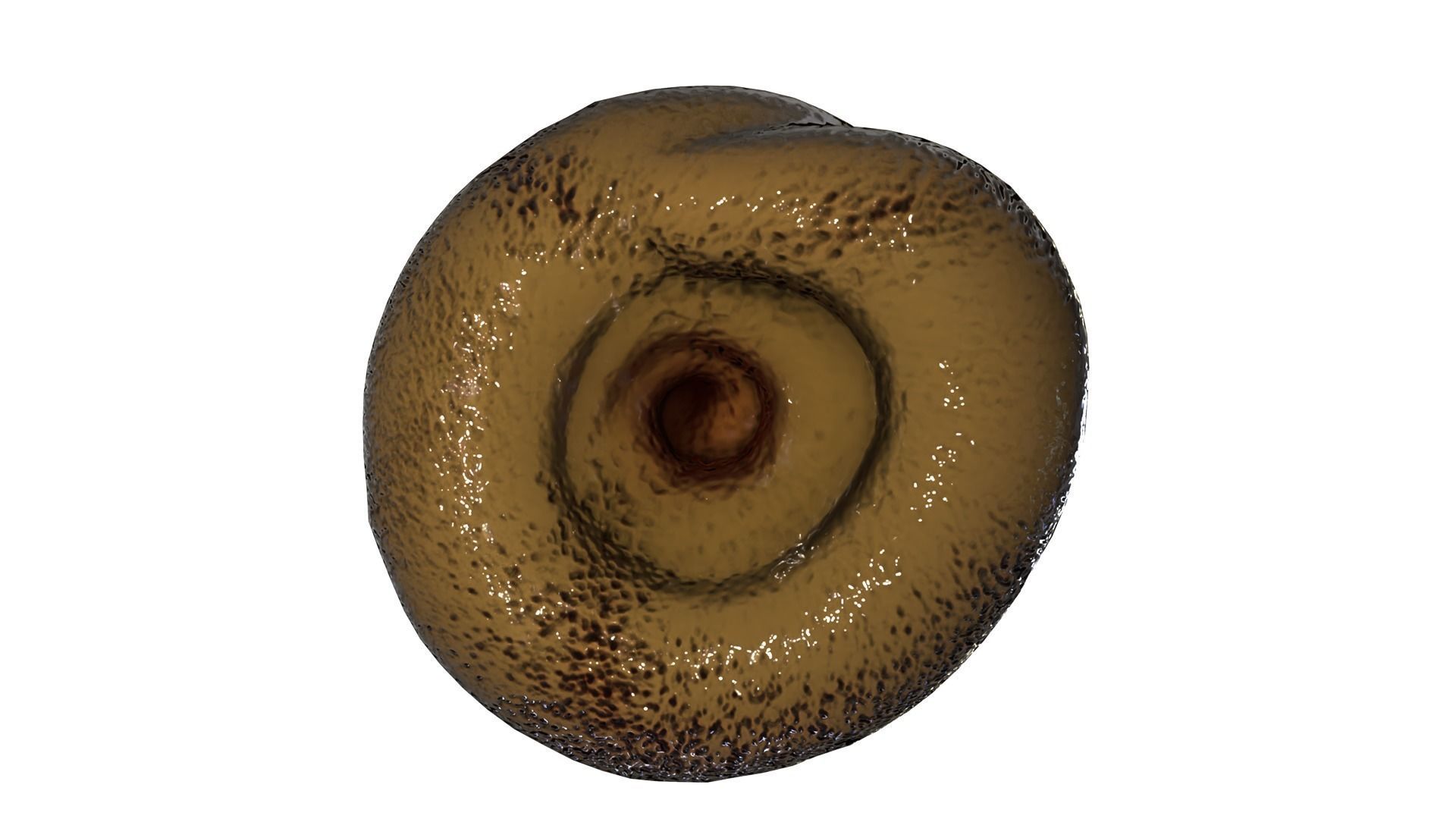 3D model Feces poop VR / AR / low-poly | CGTrader