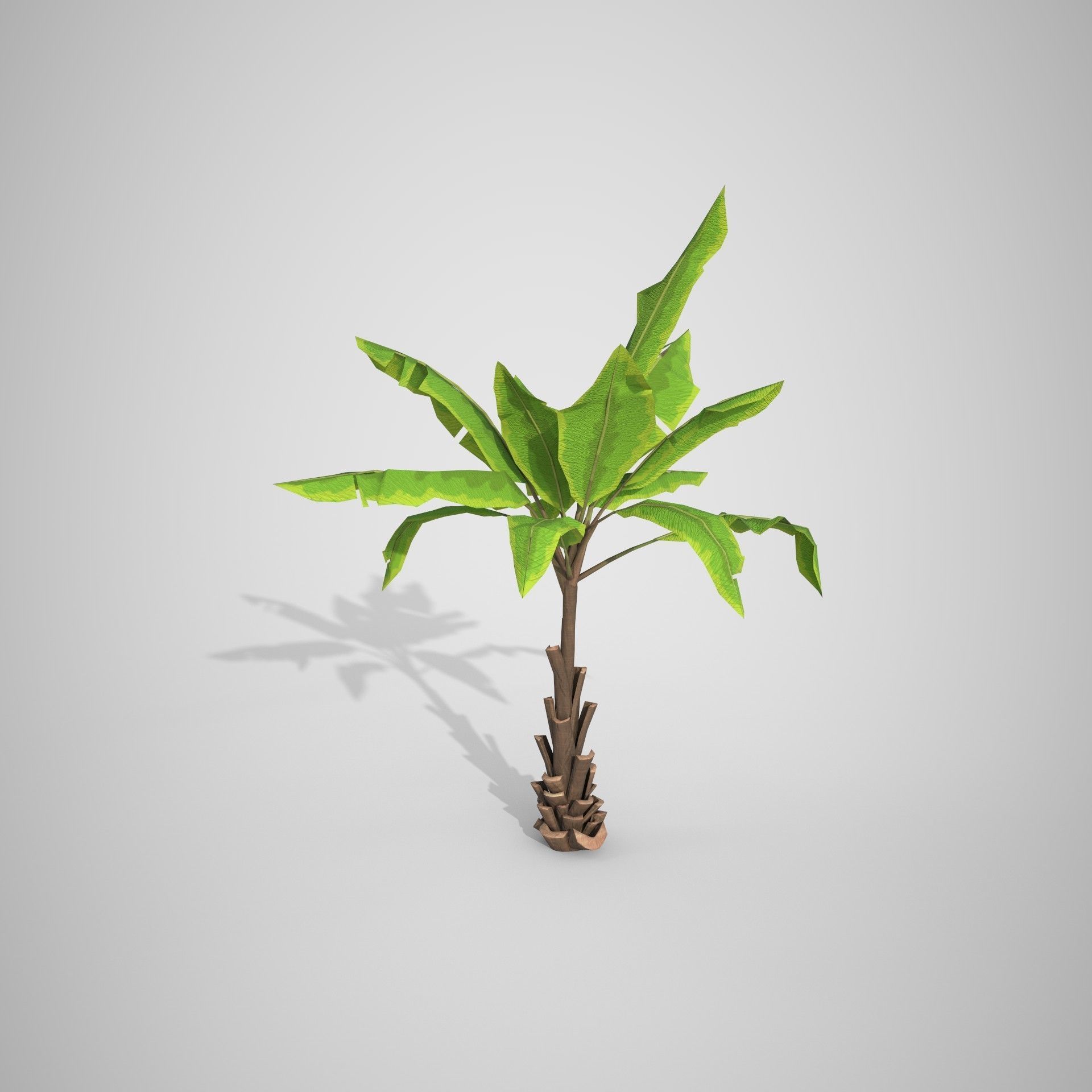 3D model Palm tree set Cartoon Stylized Hand painted VR / AR / low-poly ...