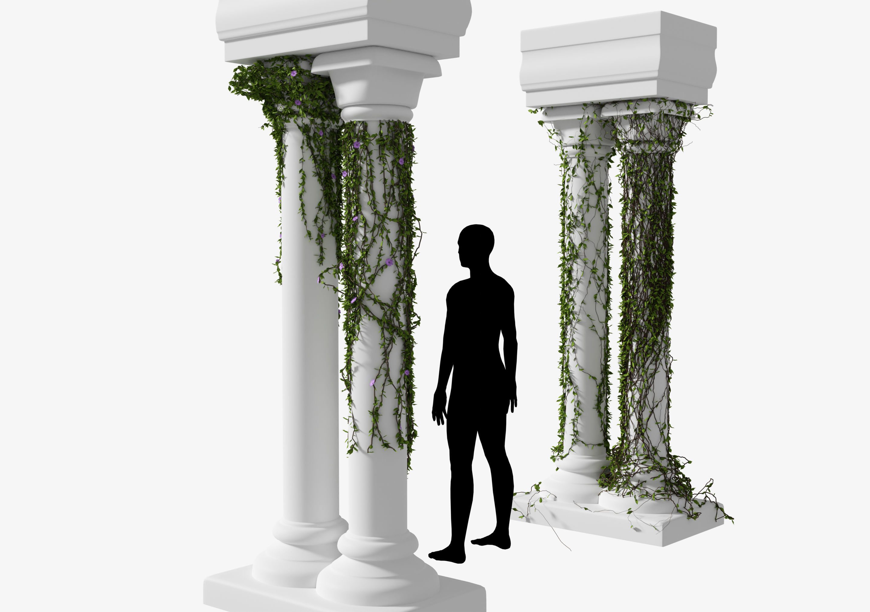 Columns with ivy 3D model | CGTrader