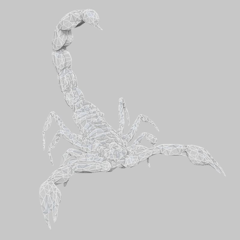 3D model Scorpion VR / AR / low-poly | CGTrader