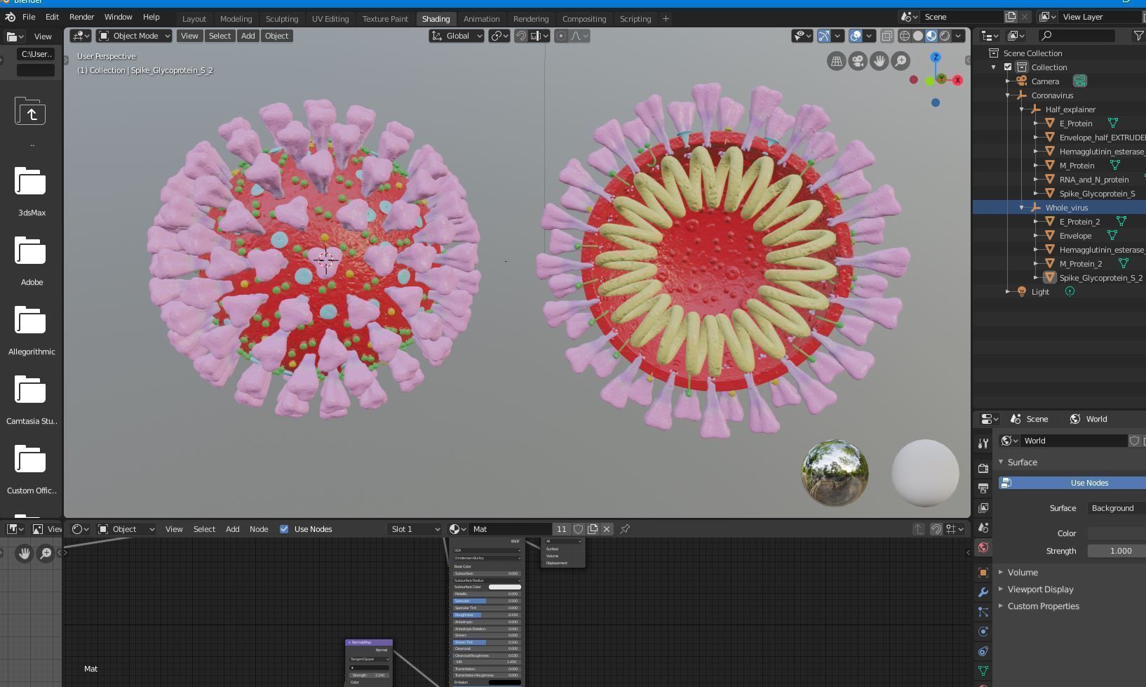 COVID - 19 Coronavirus free 3D model | CGTrader