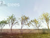 tree arb free 3D model | CGTrader