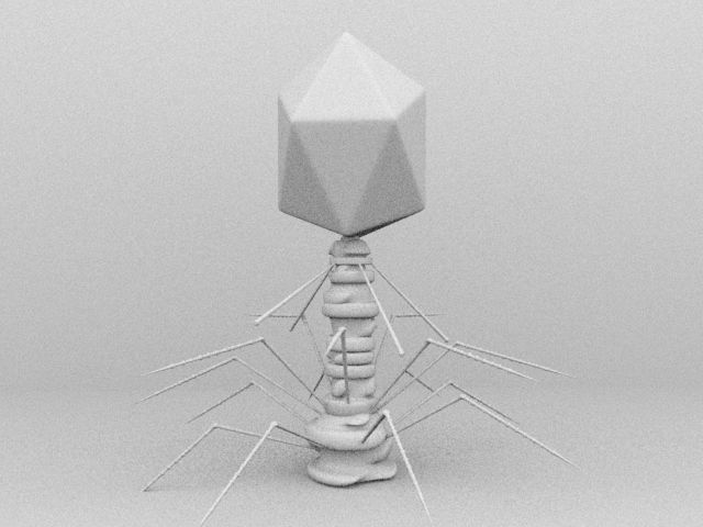 Enterobacteria phage T2 3D model | CGTrader