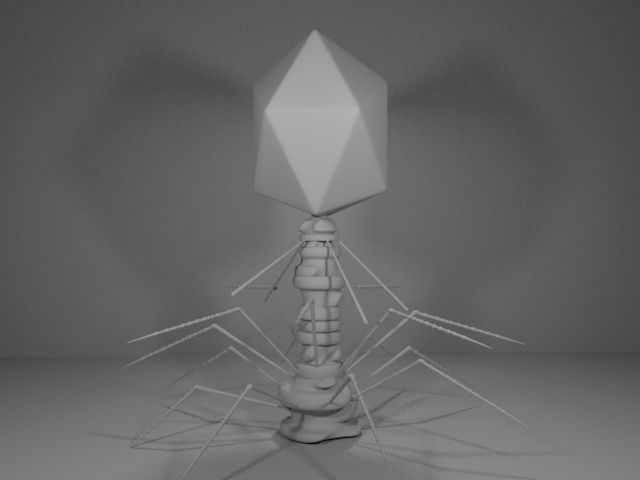 Enterobacteria phage T2 3D model | CGTrader