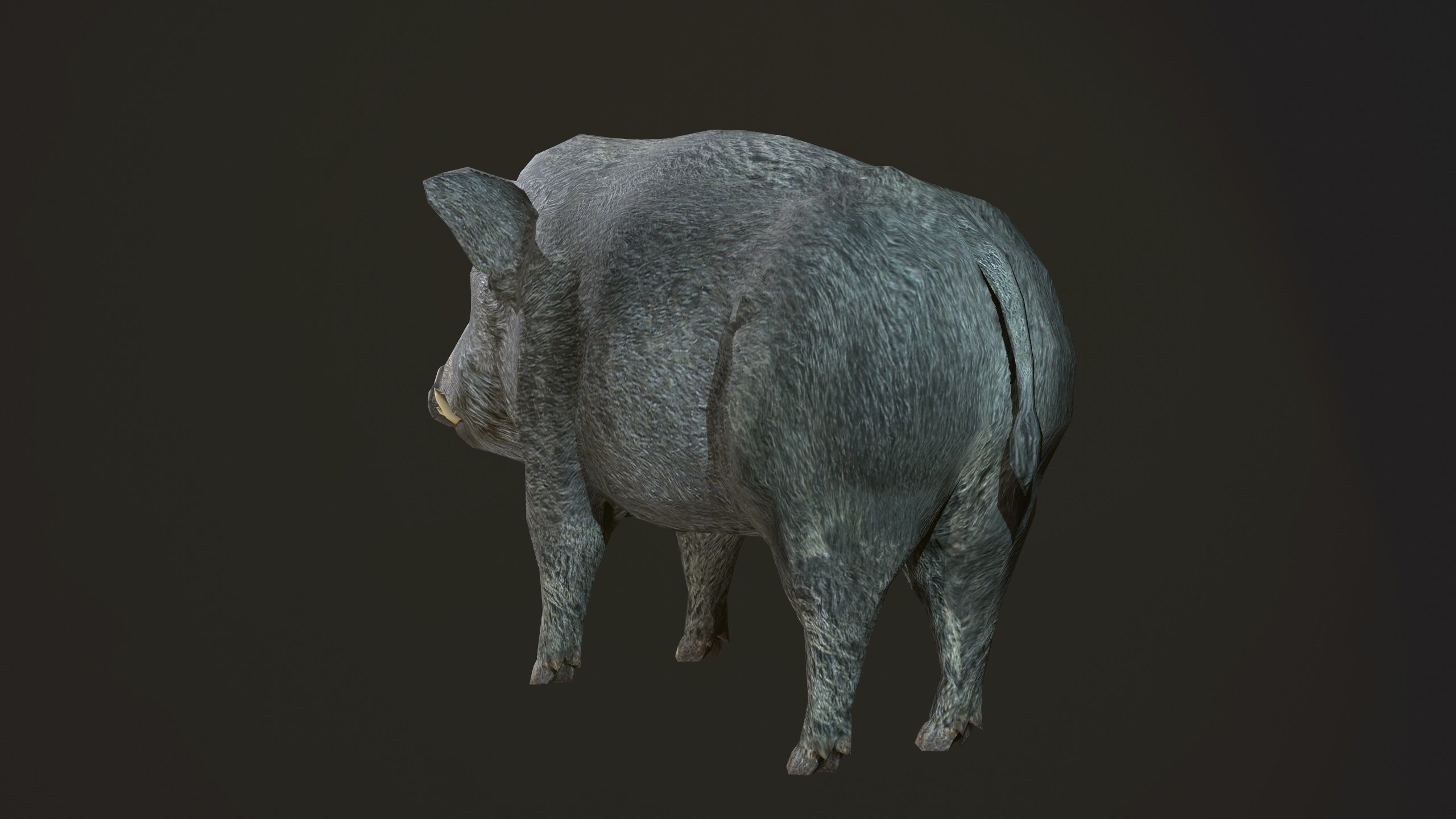 3D model Wild Boar VR / AR / low-poly | CGTrader